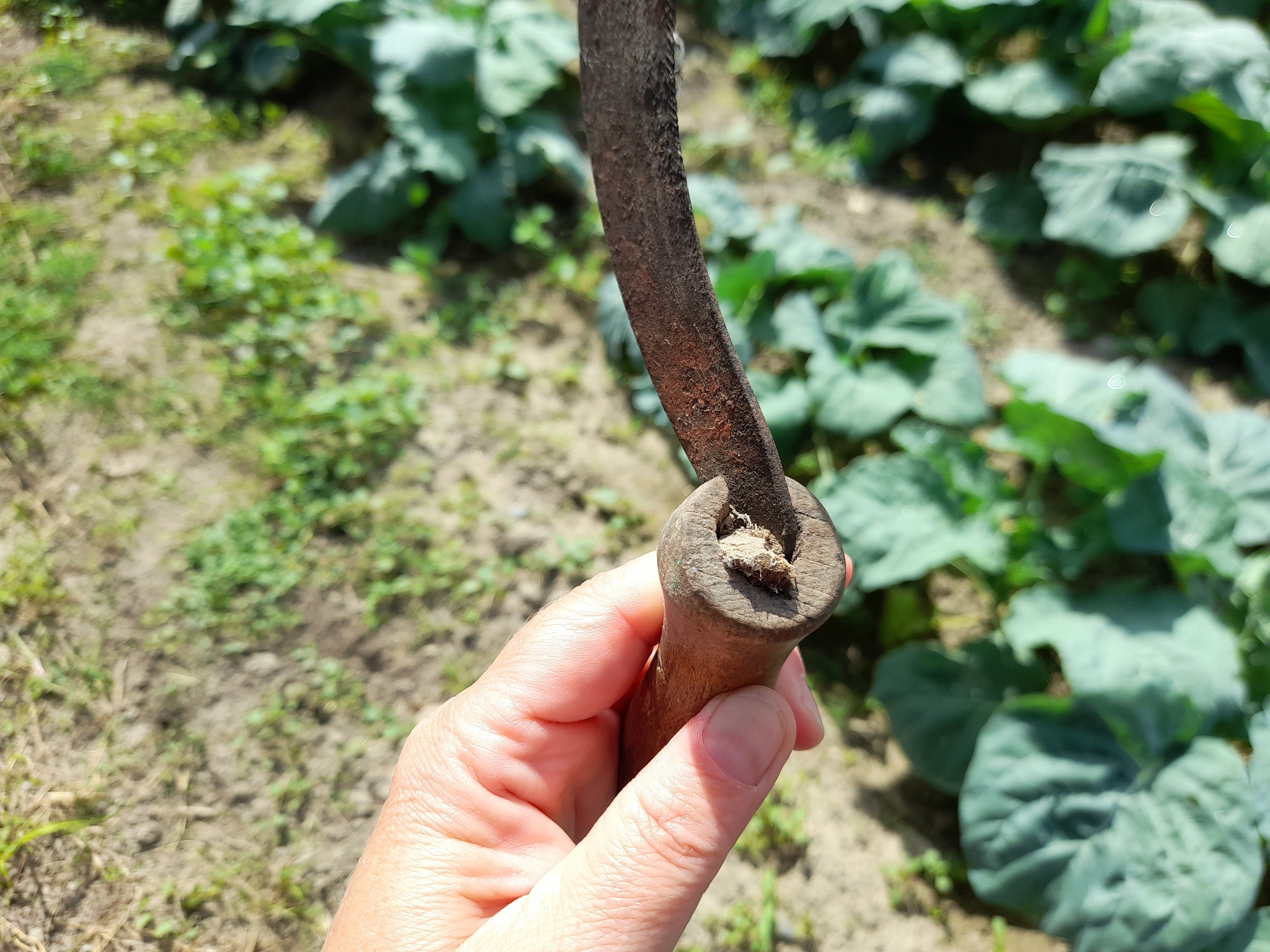 Antique Sickle / Primitive Cutter Wood Handle / Rustic Sickle - Etsy