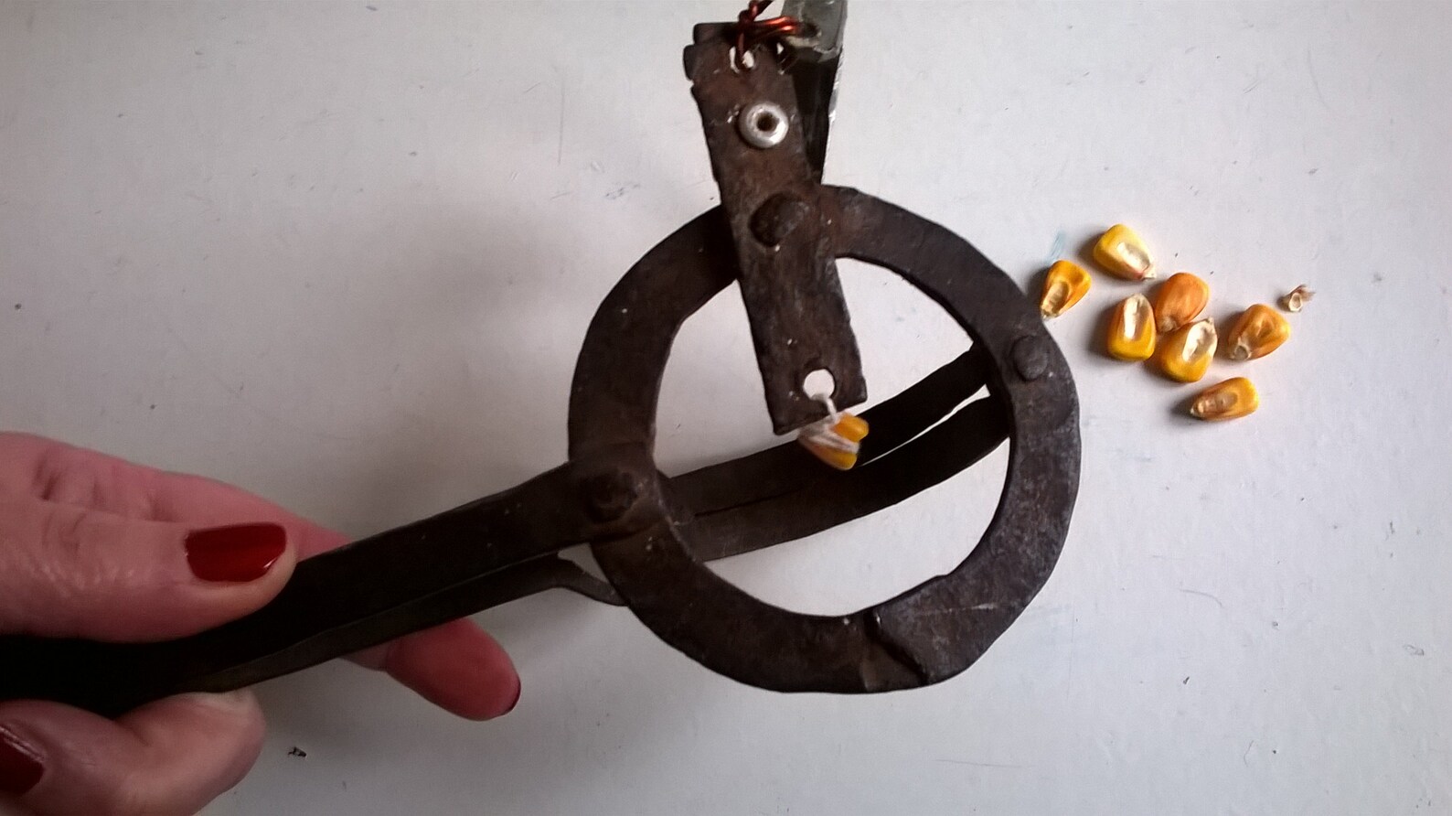 Antique Rusty Animal Trap/vintage Hunting Lodge/fireplace Man Cave ...