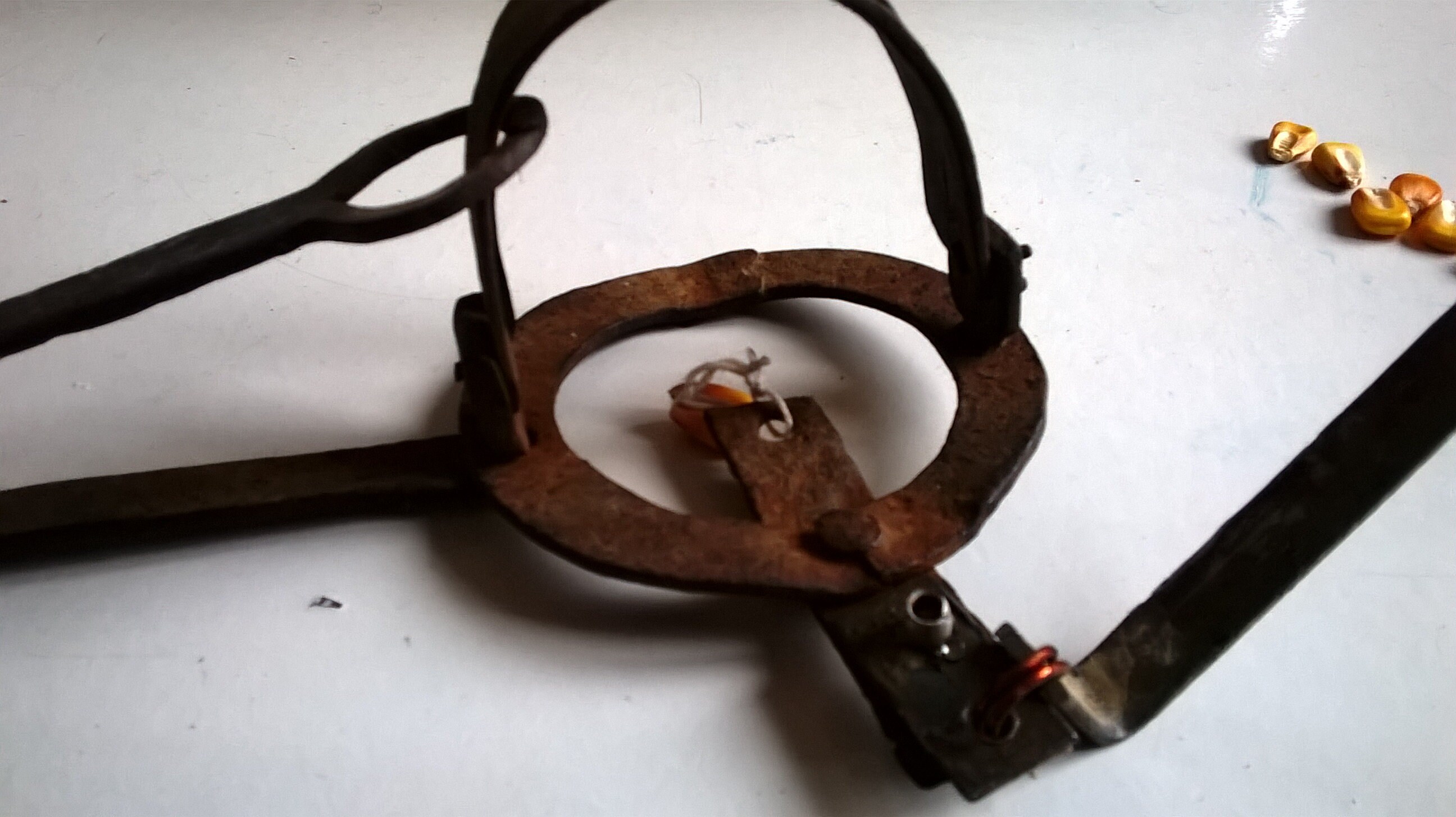 Antique Rusty Animal Trap/vintage Hunting Lodge/fireplace Man | Etsy