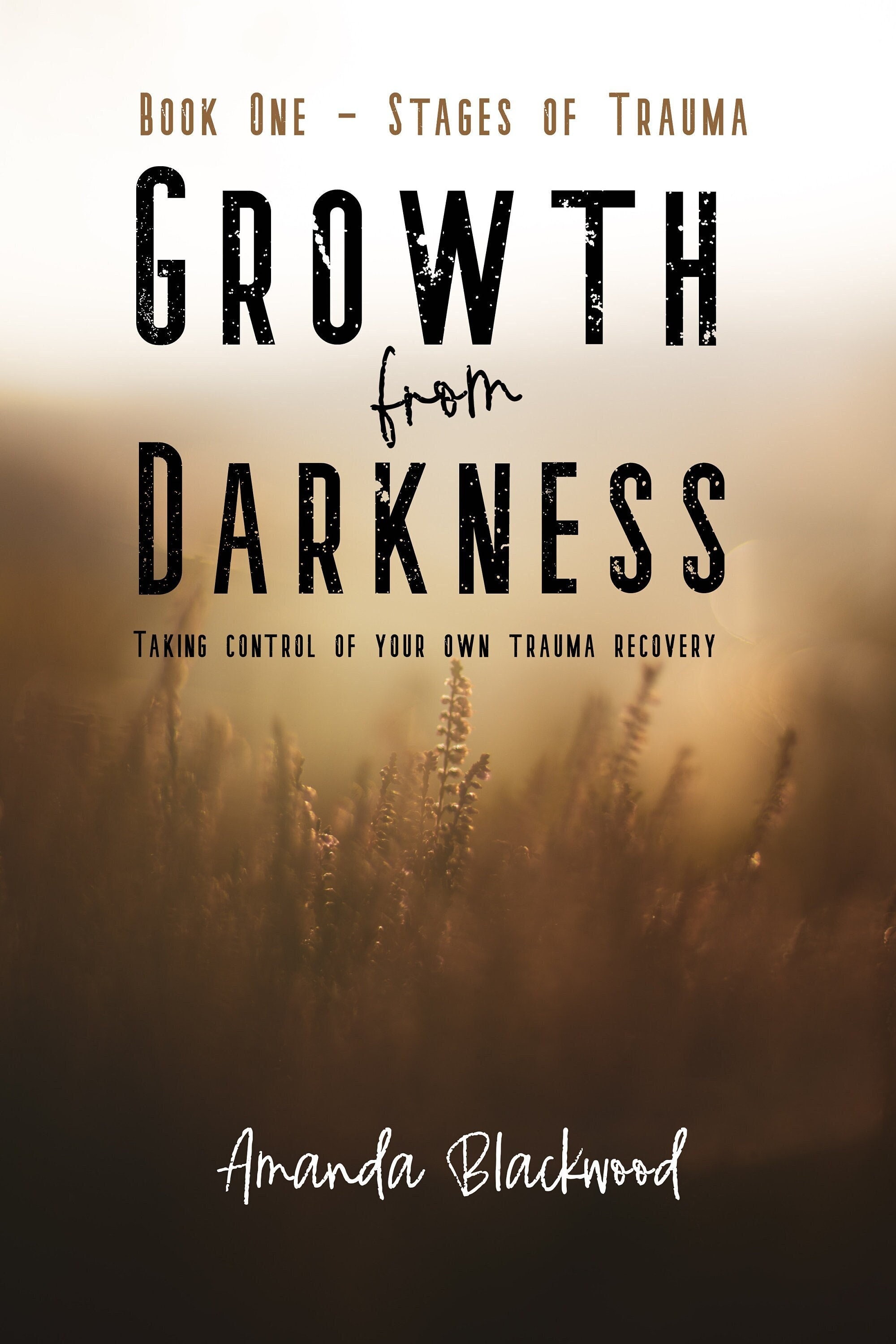 Stages of Trauma (book One of the Growth From Darkness Series) - Etsy