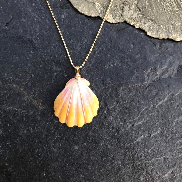 Sunrise Shell - Etsy