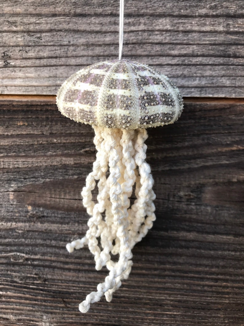 Macrame Jellyfish Ornament | Coastal Macrame Decor With Sea Urchin ...