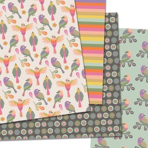 Birds Digital Paper Pack, Bird Cages Scrapbook Pages, Floral Pattern ...