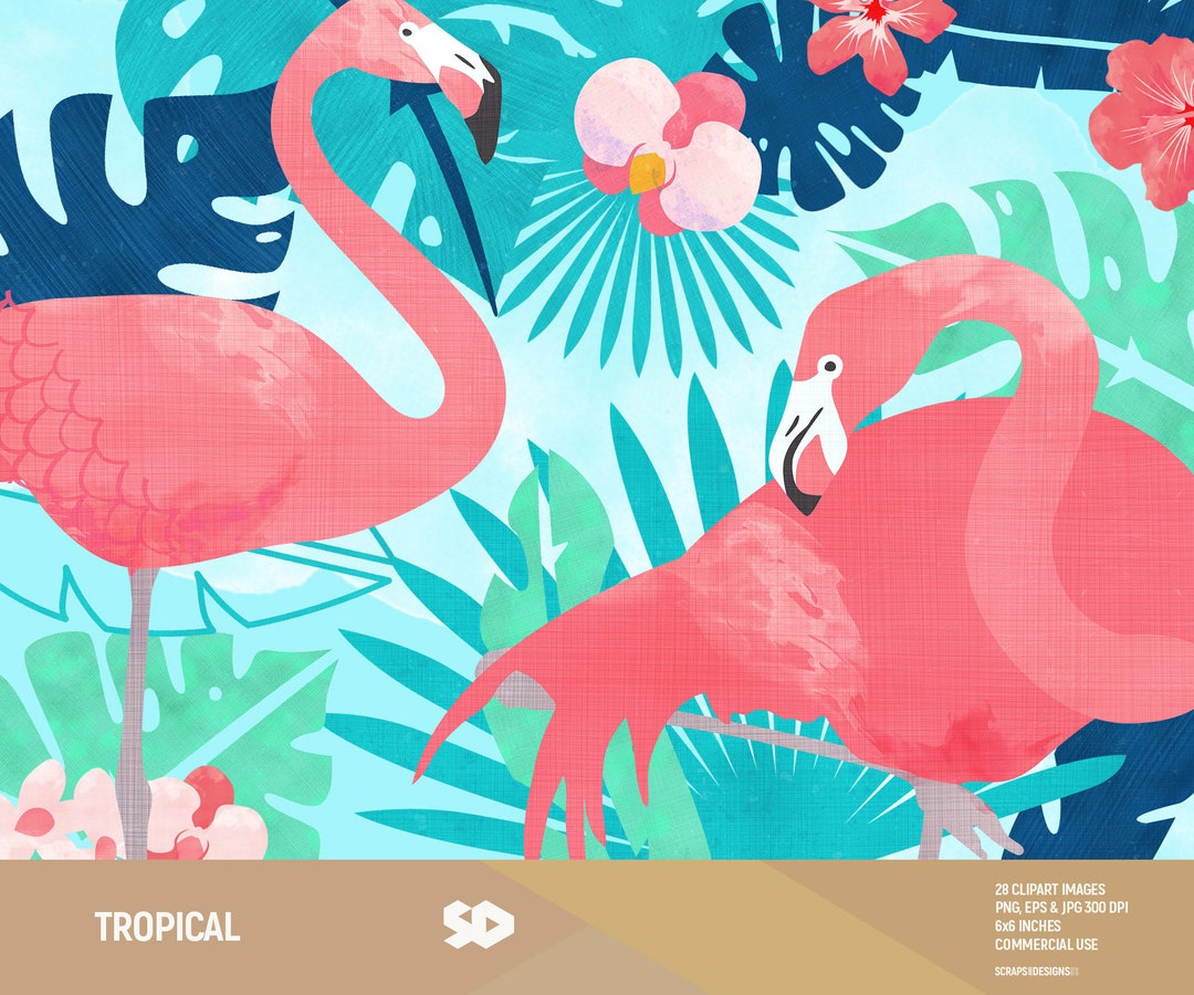 Tropical Digital Clipart. Flamingo Clip Art. Summer Clipart ...