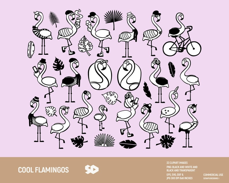 Cool flamingos clipart bundle flamingo clip art tropical | Etsy