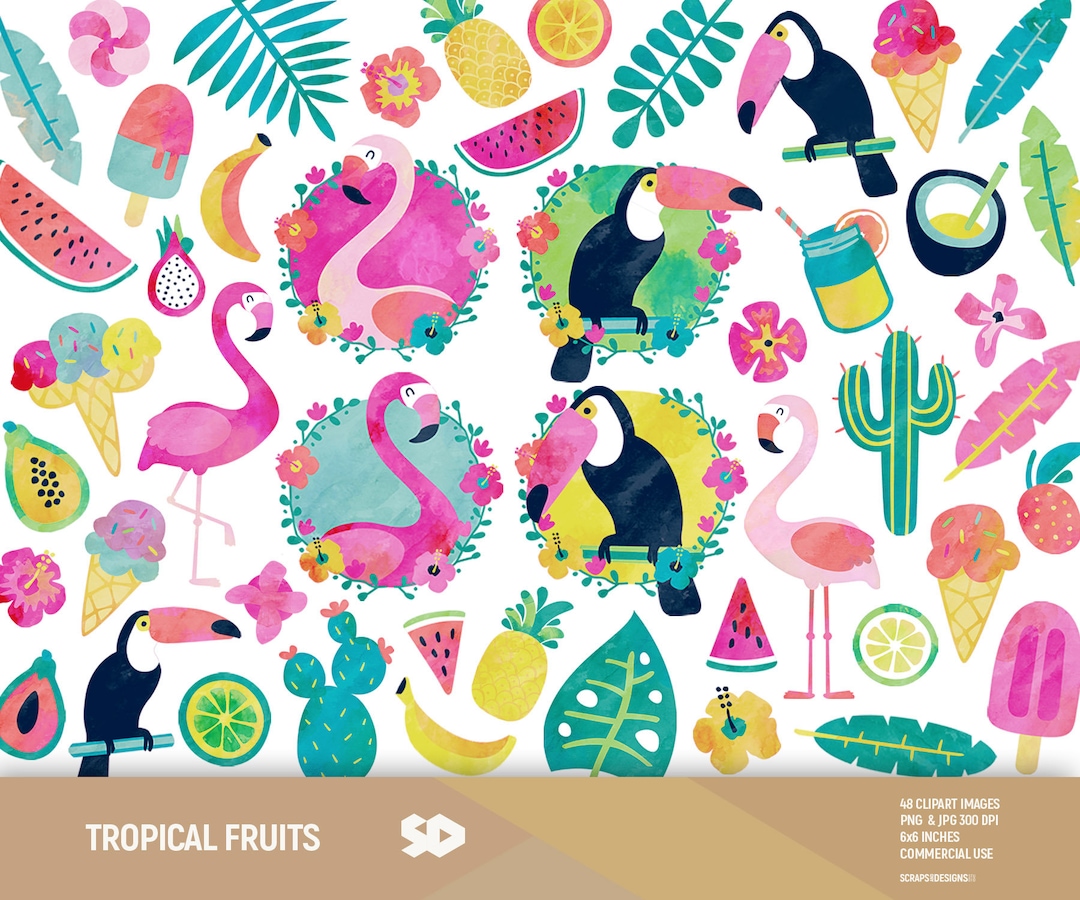 Tropical Fruits Clipart, Watercolor Flamingo Clip Art. Toucan Pineapple ...