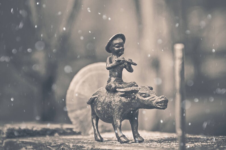 Download Snow & Dust Effect Overlays Photoshop Actions Pack | Etsy