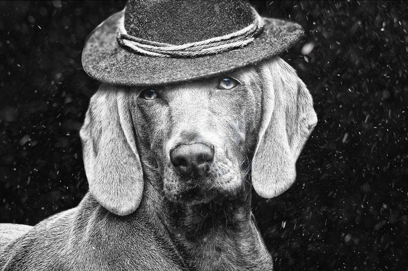 Download Snow & Dust Effect Overlays Photoshop Actions Pack | Etsy