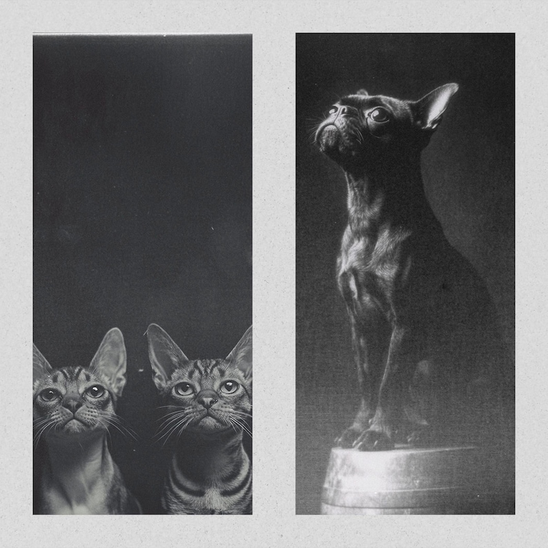 Vintage Photocopy Texture Overlays: High-resolution PNG Set - Etsy