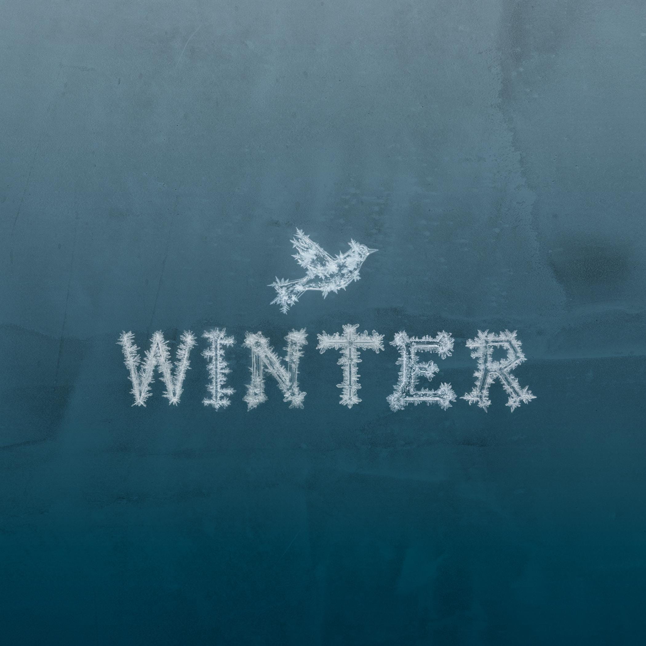 Snowflake Crystal Letter Overlays: Winter Alphabet (PNG & JPEG) - Etsy