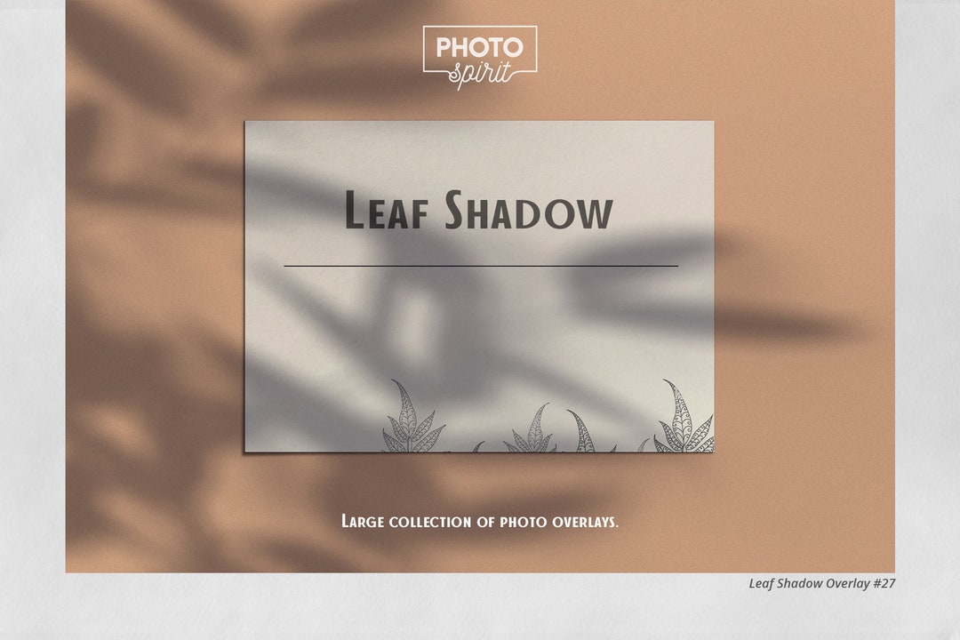 Leaf Shadow Overlays for Photoshop - Add Shadows Leaf, Branch, Plant or ...