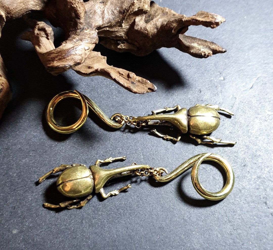 Beetle Are Weight - Ear Weights -brass Ear Weight-5mm Brass Weight-1 ...
