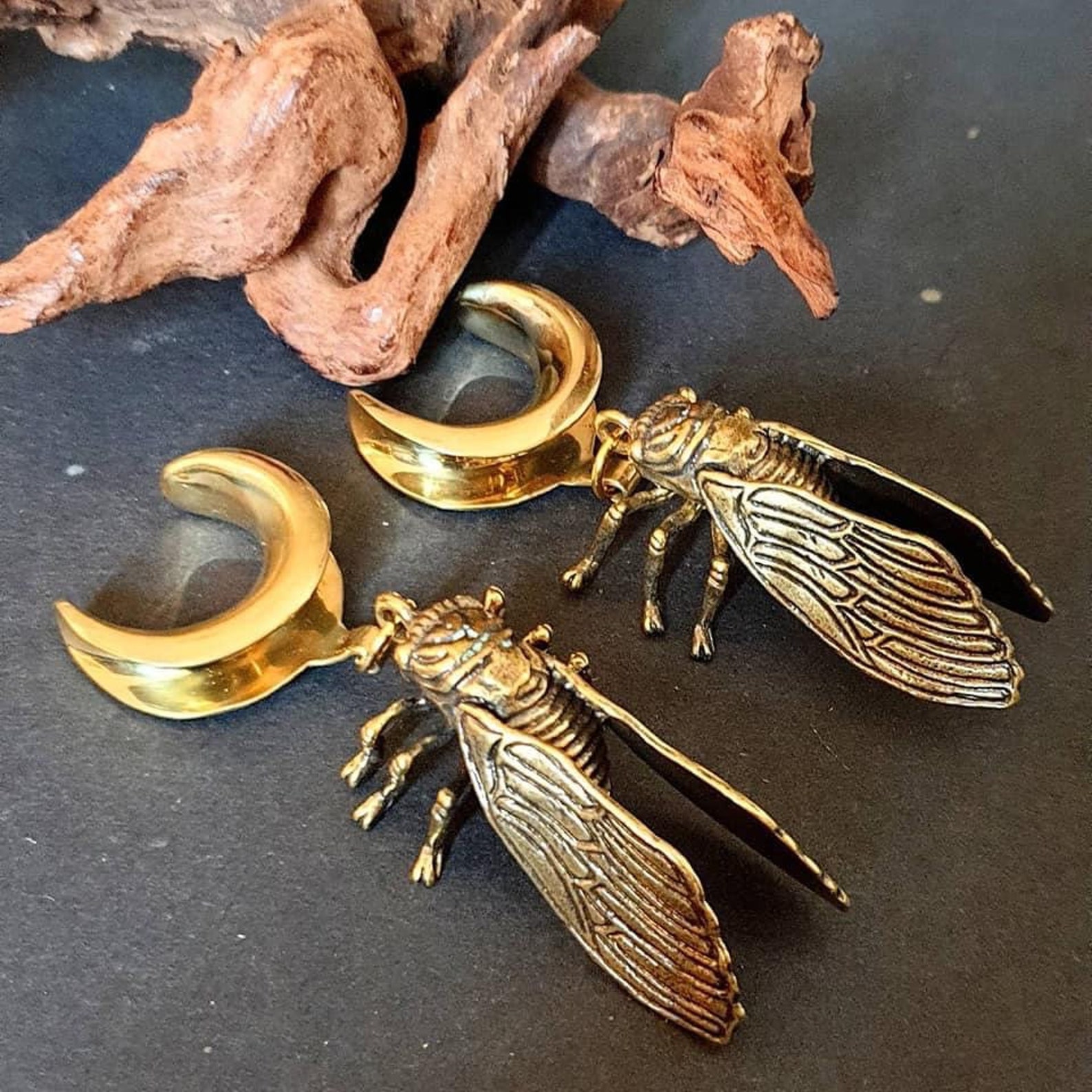 Cicada Ear Weights ,saddle Ear Weight, Brass Ear Weights-1 Pair - Etsy ...