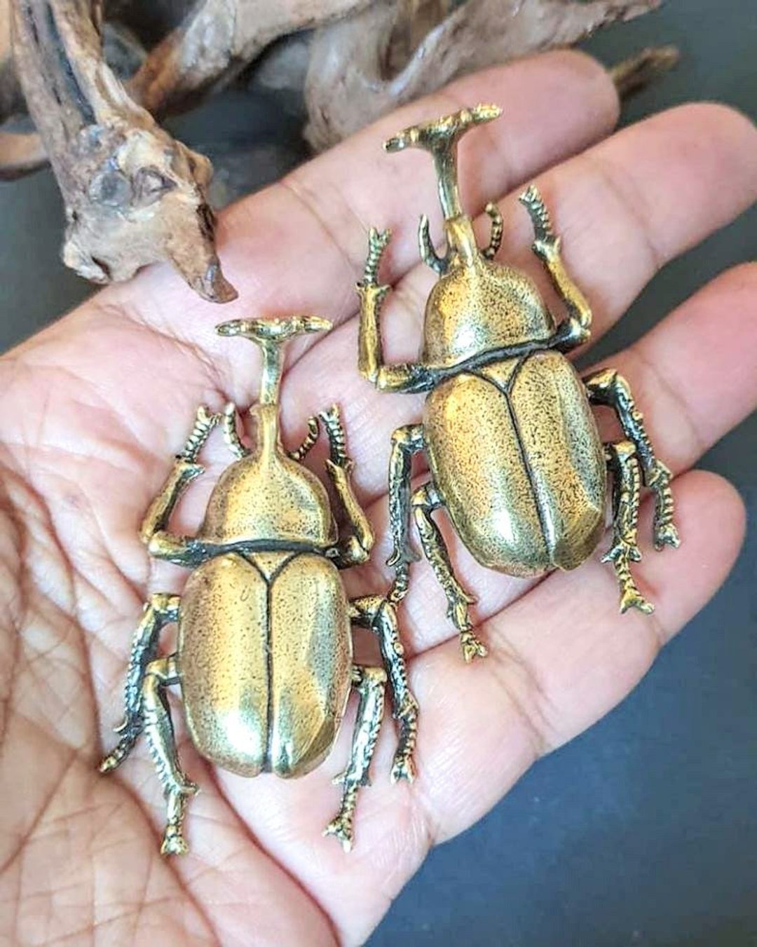 Beetle Ear Weight - Ear Weights - Rhinoceros Beetle Ear Weight-5mm ...