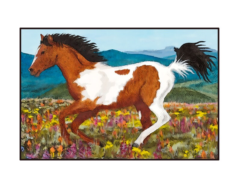 Pinto ~ 8 X 10 Print of Original Artwork - Etsy