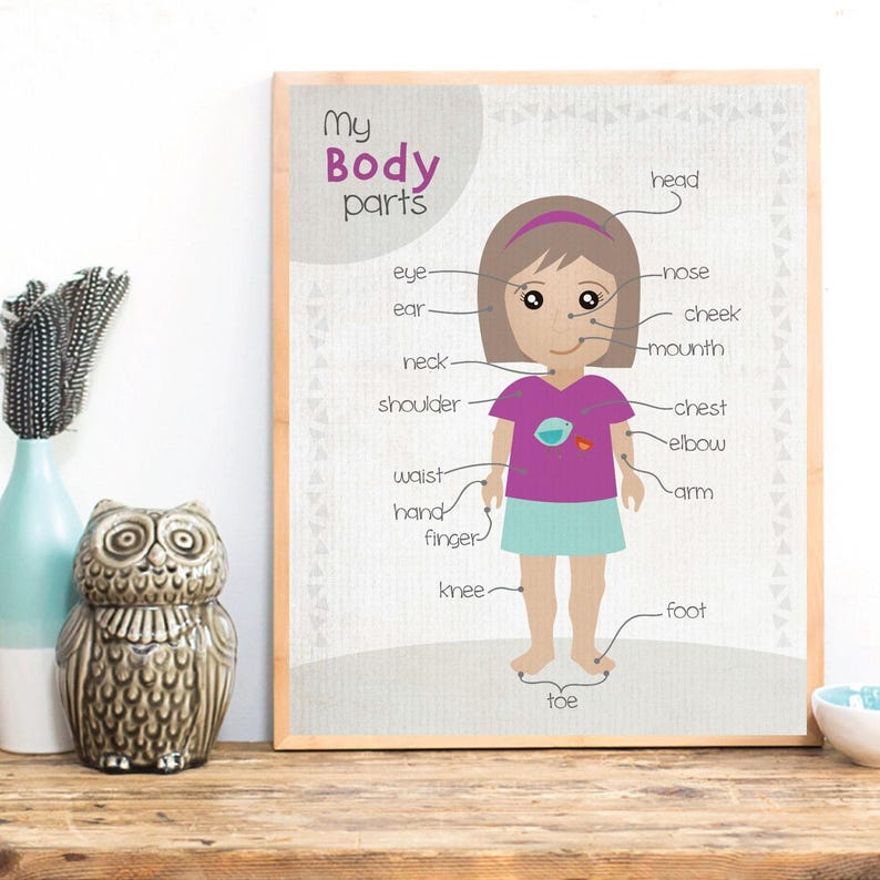Classroom Decor Body Parts Clipart for Kids Classroom - Etsy