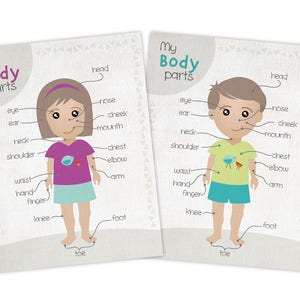 Classroom Decor, Body Parts Clipart for Kids, Classroom Poster ...