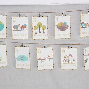 Nature Themed Number Cards in English, Counting Wall Cards, Gender ...