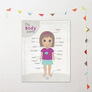 Classroom Decor, Body Parts Clipart for Kids, Classroom Poster ...
