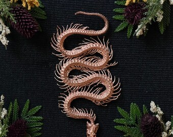 Snake Shadow Box - Etsy