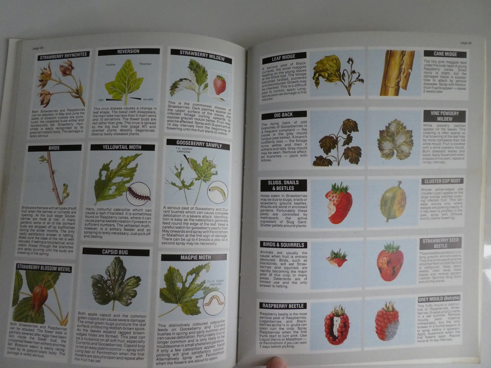 Vintage Dr. D.G. Hessayon Gardening Book The GARDEN Expert | Etsy