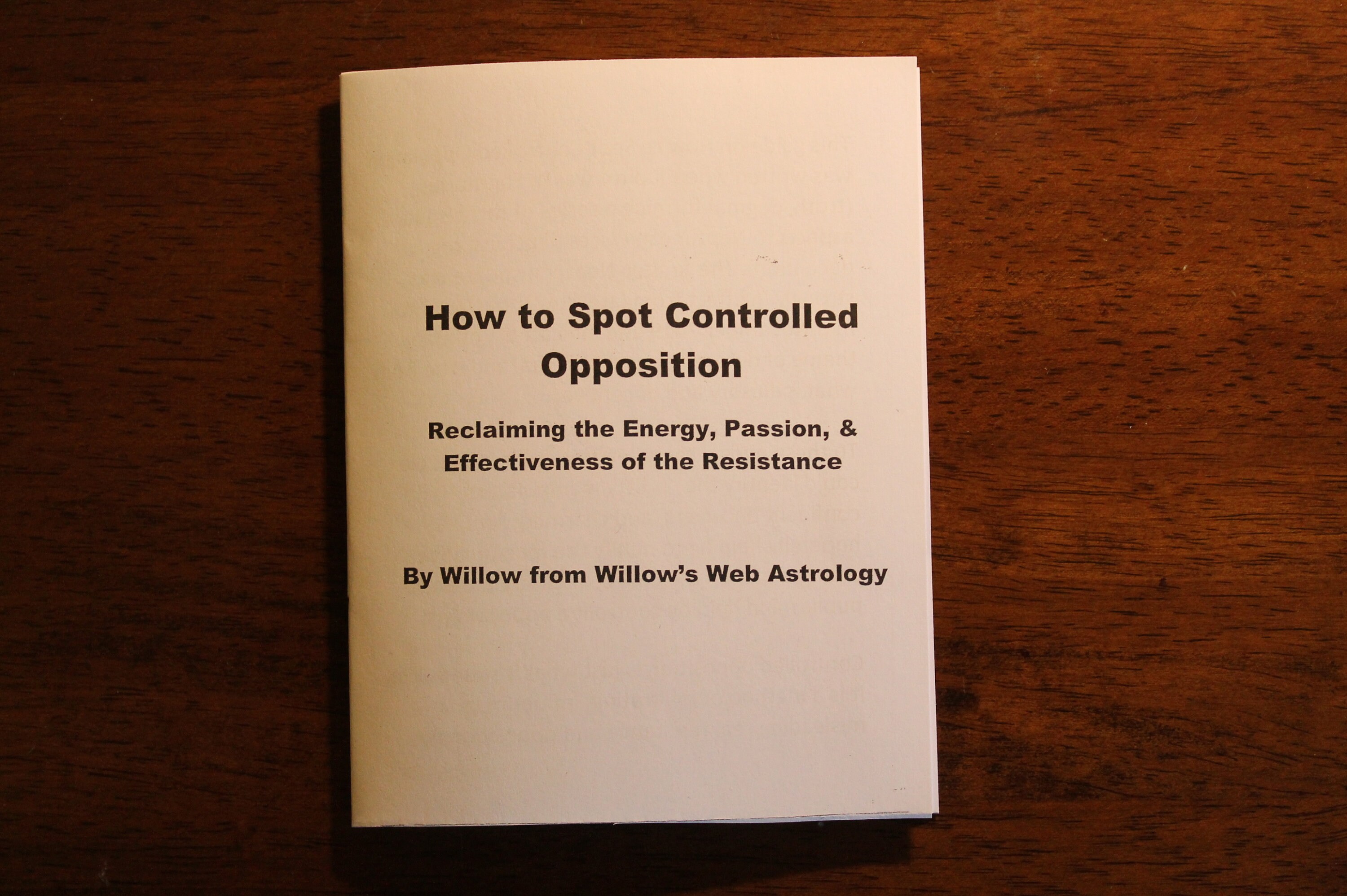 How to Spot Controlled Opposition: Reclaiming the Energy, Passion ...