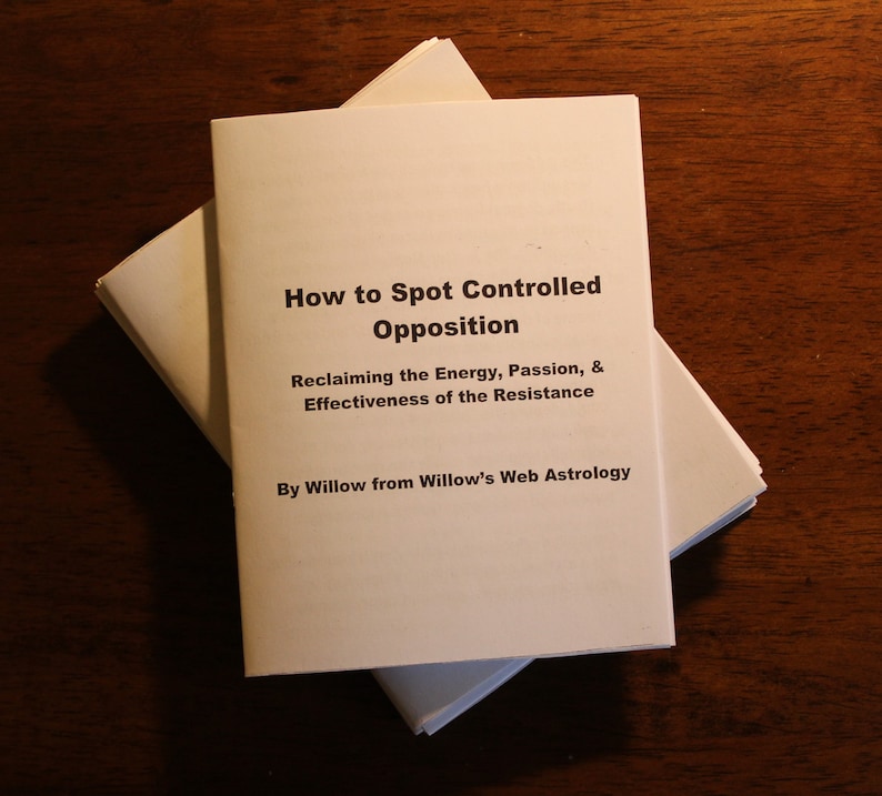 How to Spot Controlled Opposition: Reclaiming the Energy - Etsy