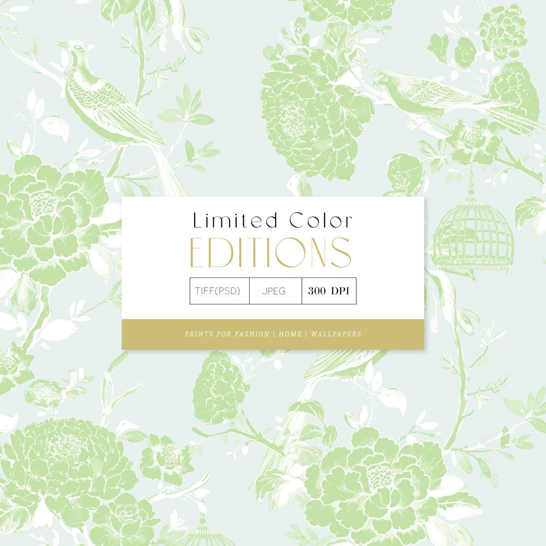 Limited Color Prints Edition 013 - Etsy