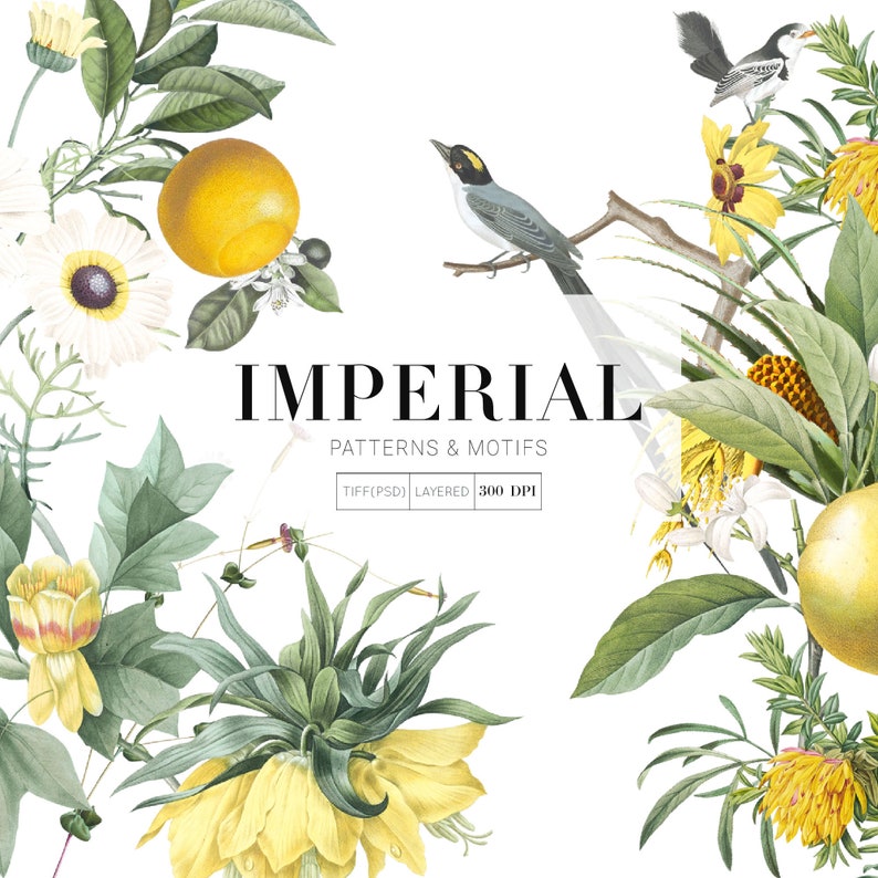 Imperial, Luxury Bold Floral Print Design! - Etsy