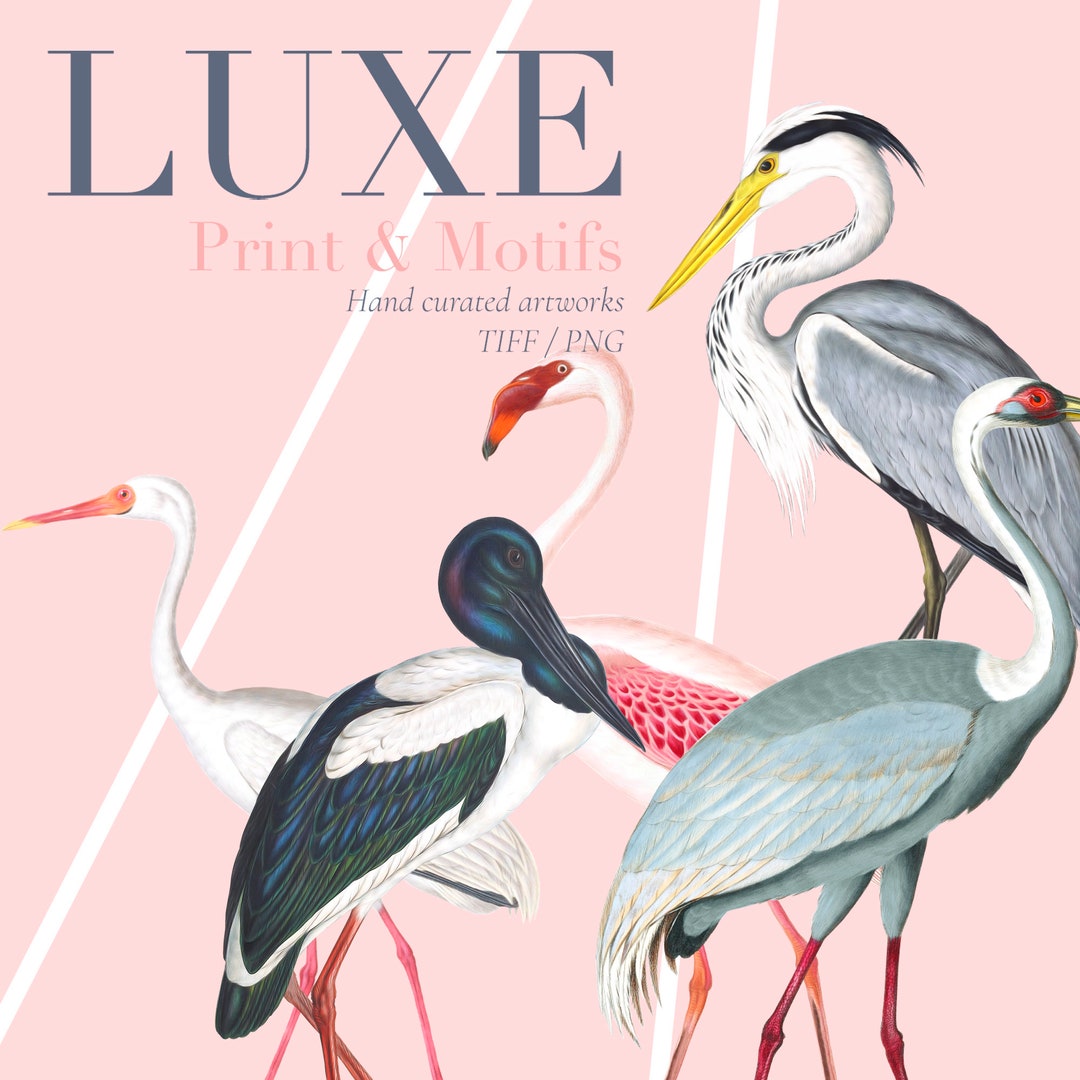 Luxe Glamour, an Exquisite Luxury Pattern Design - Etsy