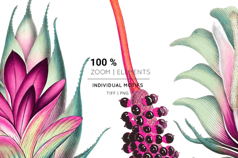 Montage, Luxury Exotic Print Patterns - Etsy