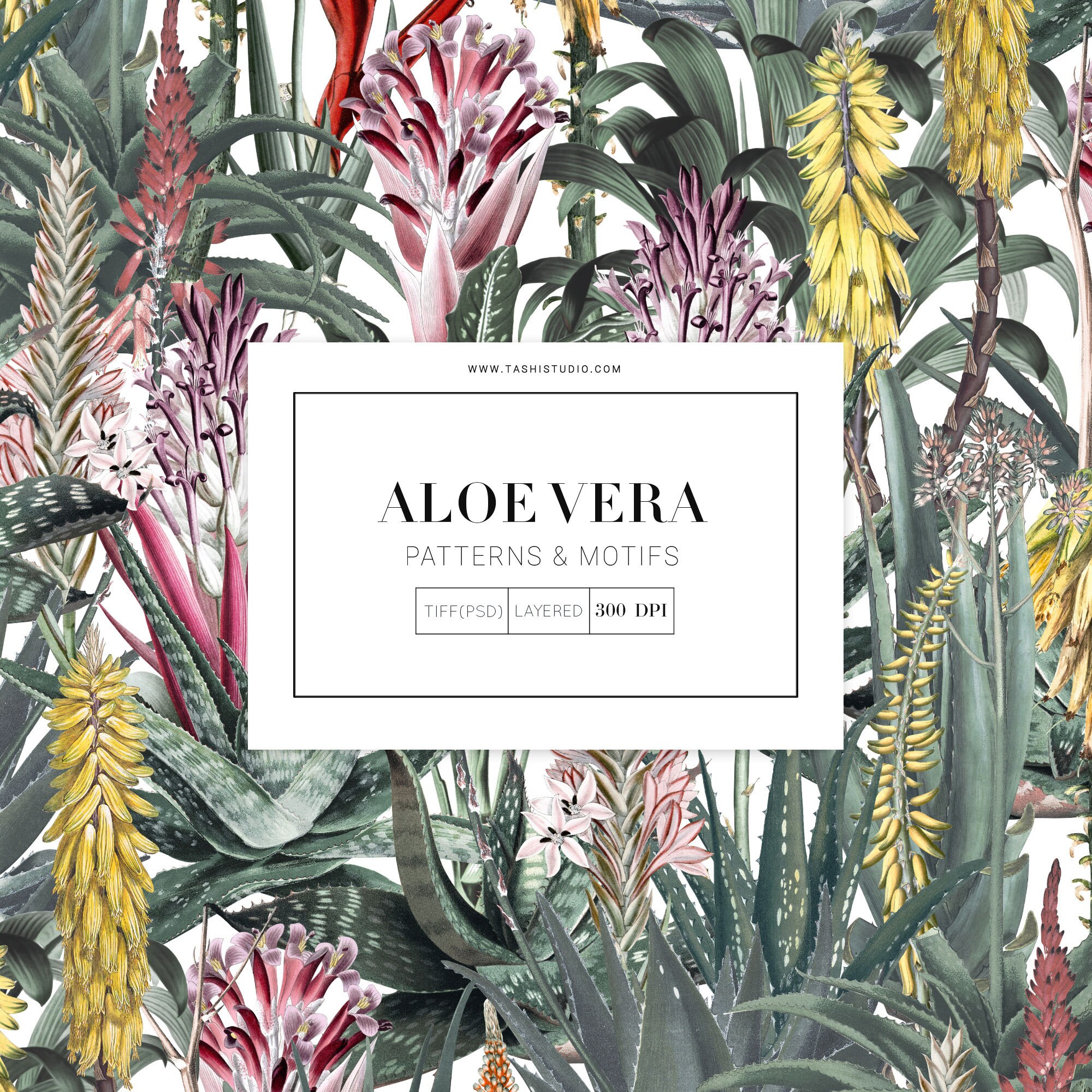 Aloe Vera Exquisite Patterns and Motifs - Etsy