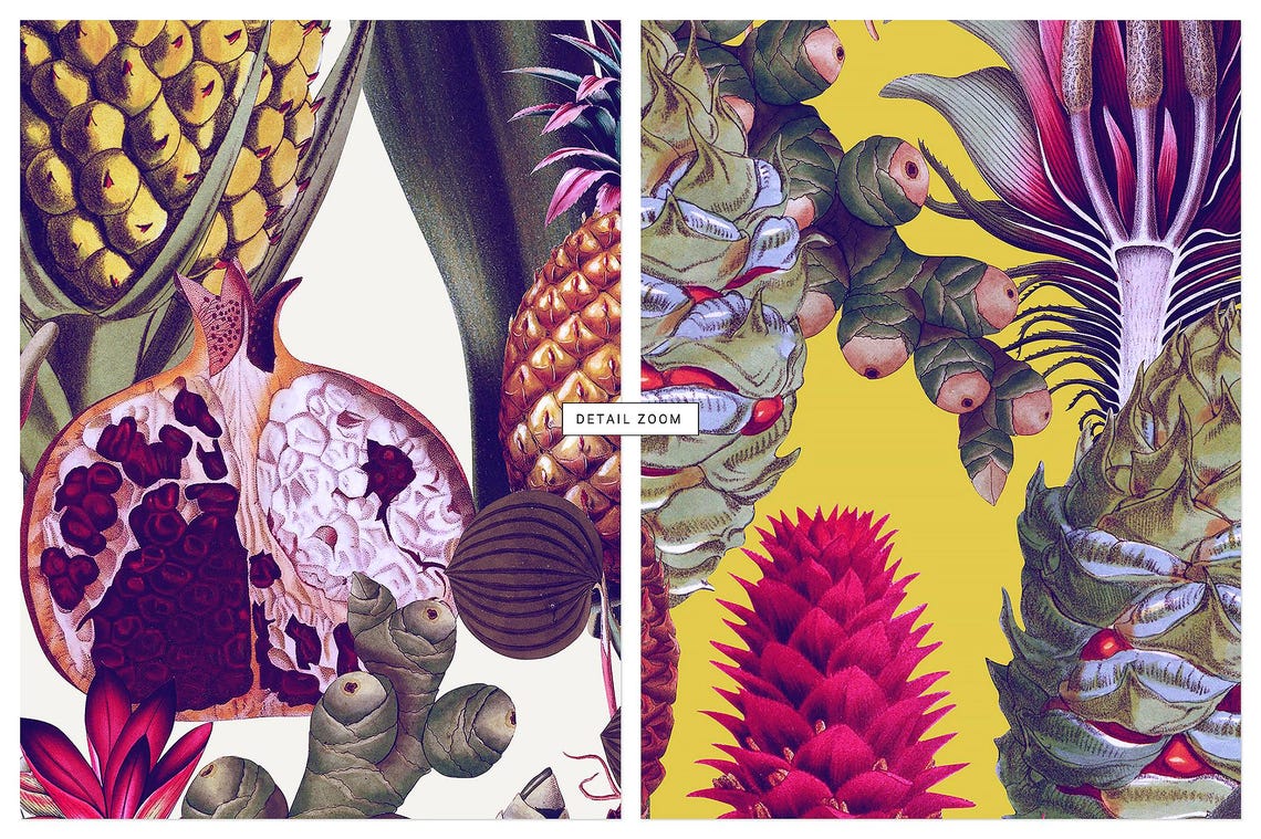 Gousse, Exotic Luxury Patterns & Motifs. - Etsy
