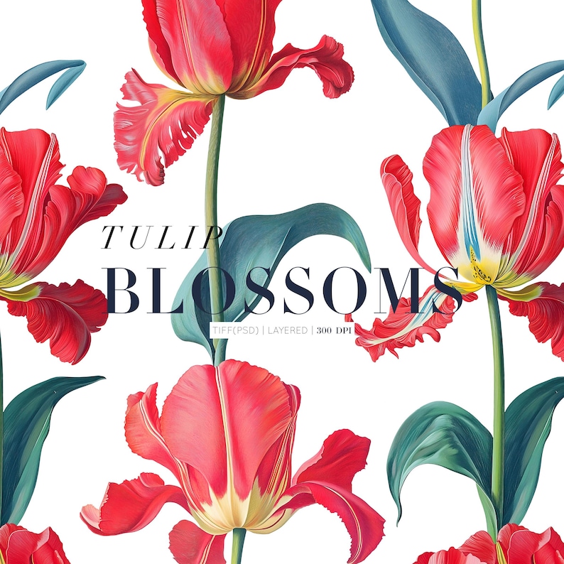 Tulip Blossoms Bold Floral Print Patterns. - Etsy
