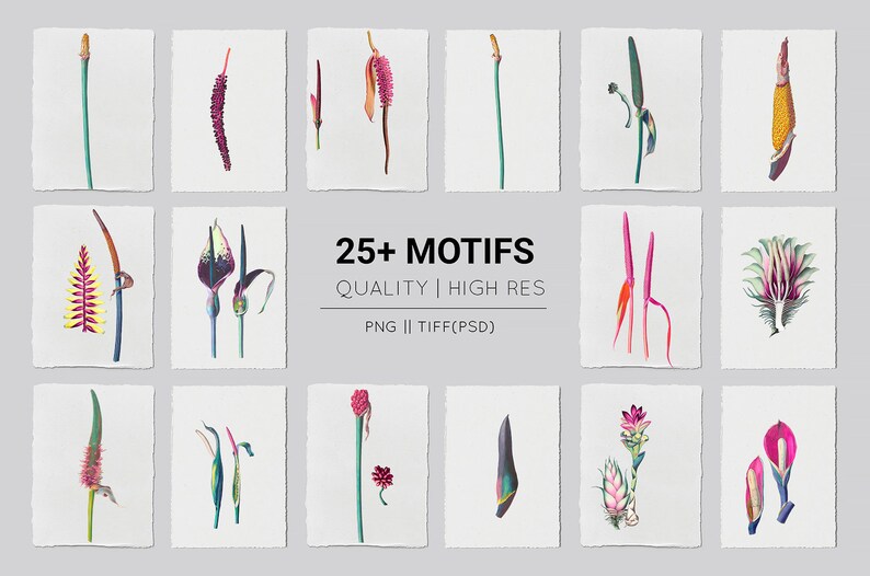 Montage, Luxury Exotic Print Patterns - Etsy