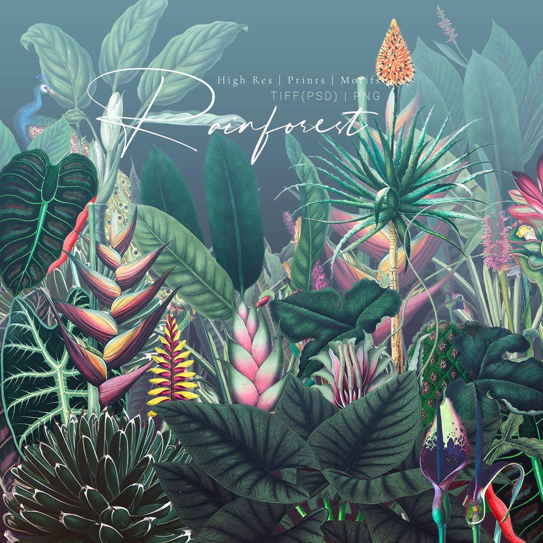 Tropical Rainforest Seamless Pattern in Layered Tiff/psd File and ...