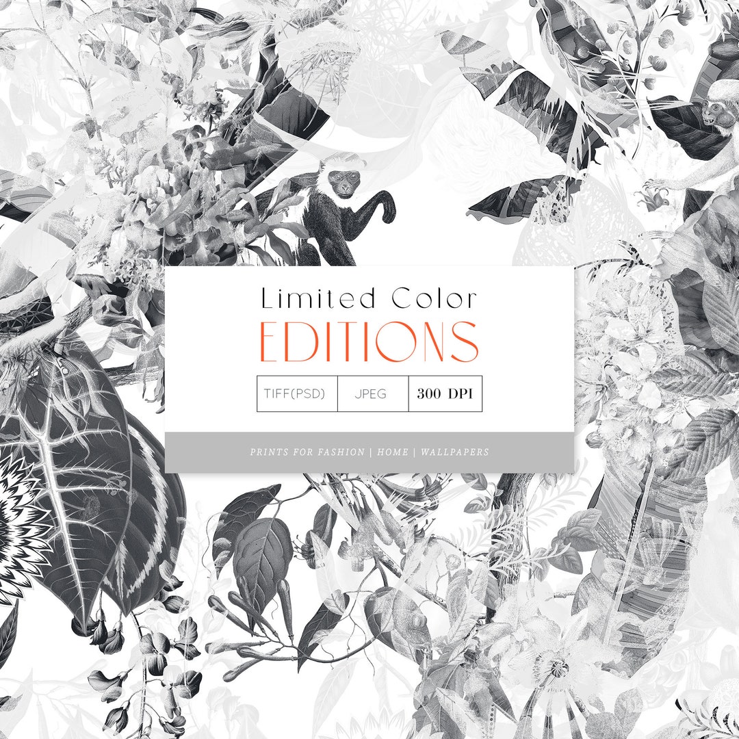 Limited Color Editions Print Patterns 012 - Etsy