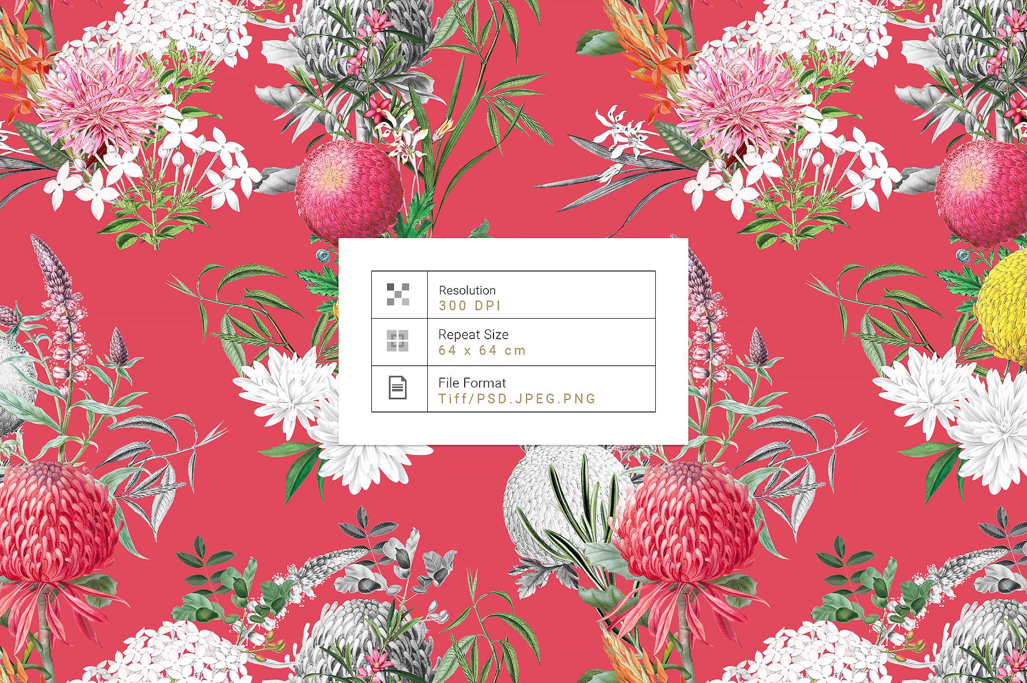 Verano, Vibrant Spring Summer Prints & Motifs. - Etsy