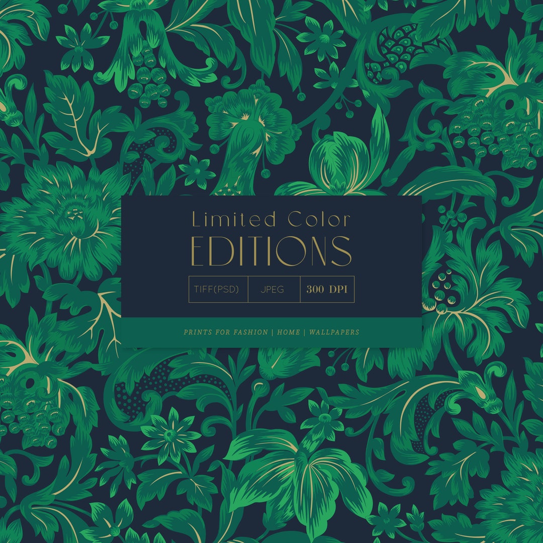 Limited Color Editions Print Patterns 003 - Etsy