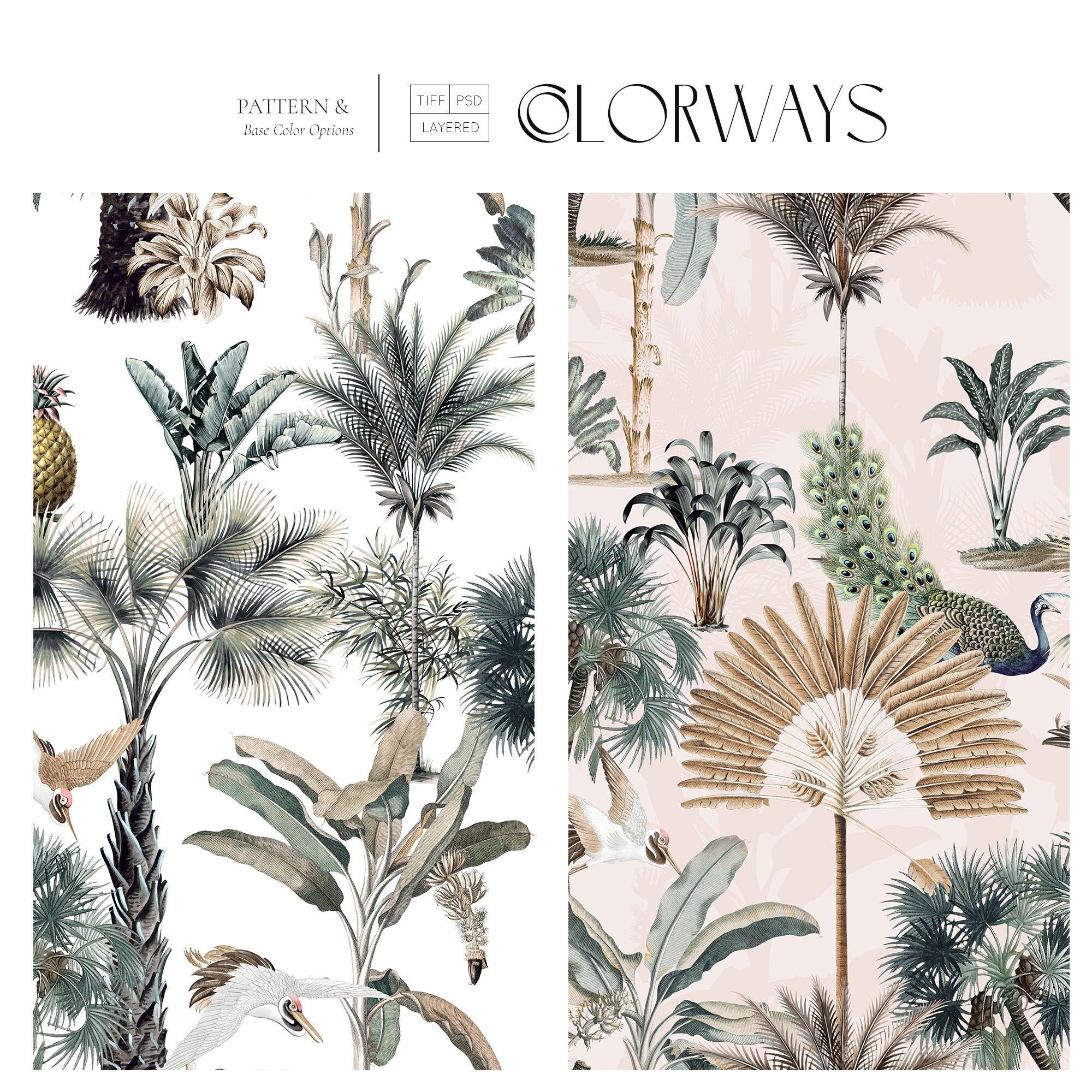 Exotic Tropical Print Pattern Surface Pattern Design - Etsy