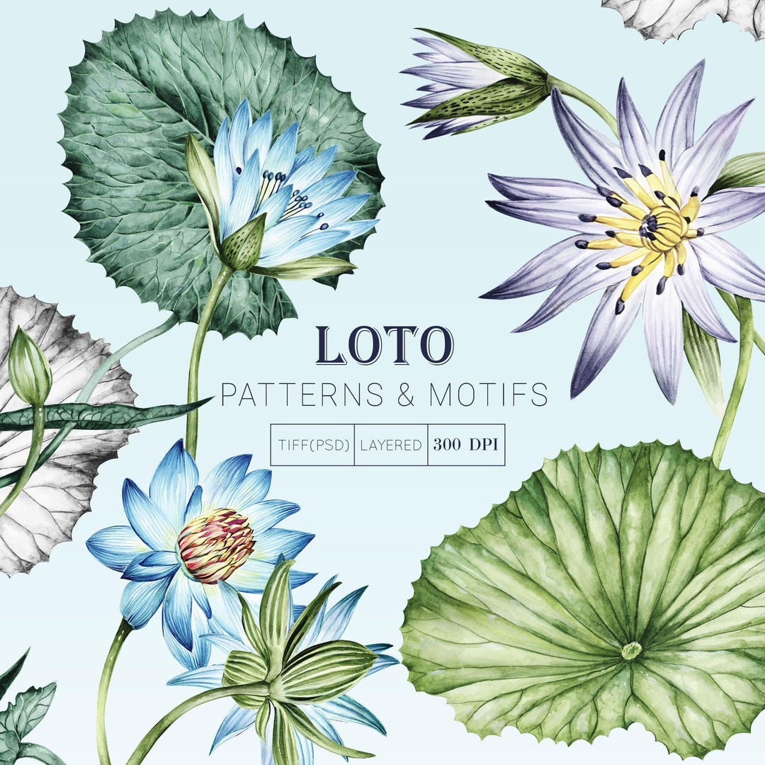 Loto, Extra Bold Hand Painted Lotus Prints & Elements! - Etsy