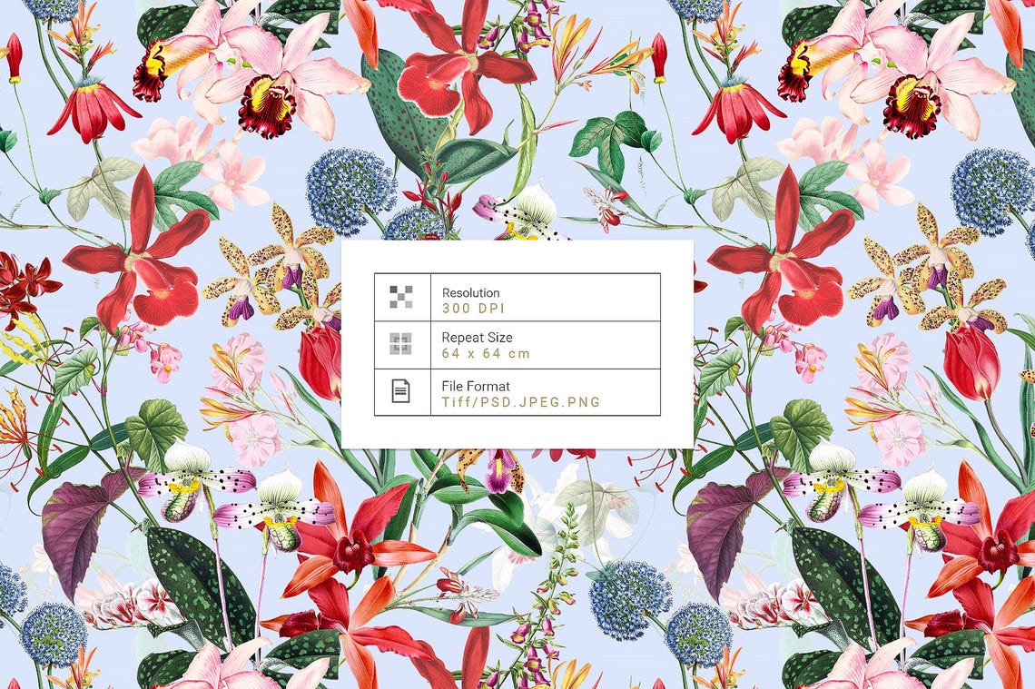 Exotic Orchids Seamless Prints & Motifs - Etsy