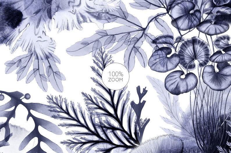 Marine, Aquatic Print Patterns - Etsy