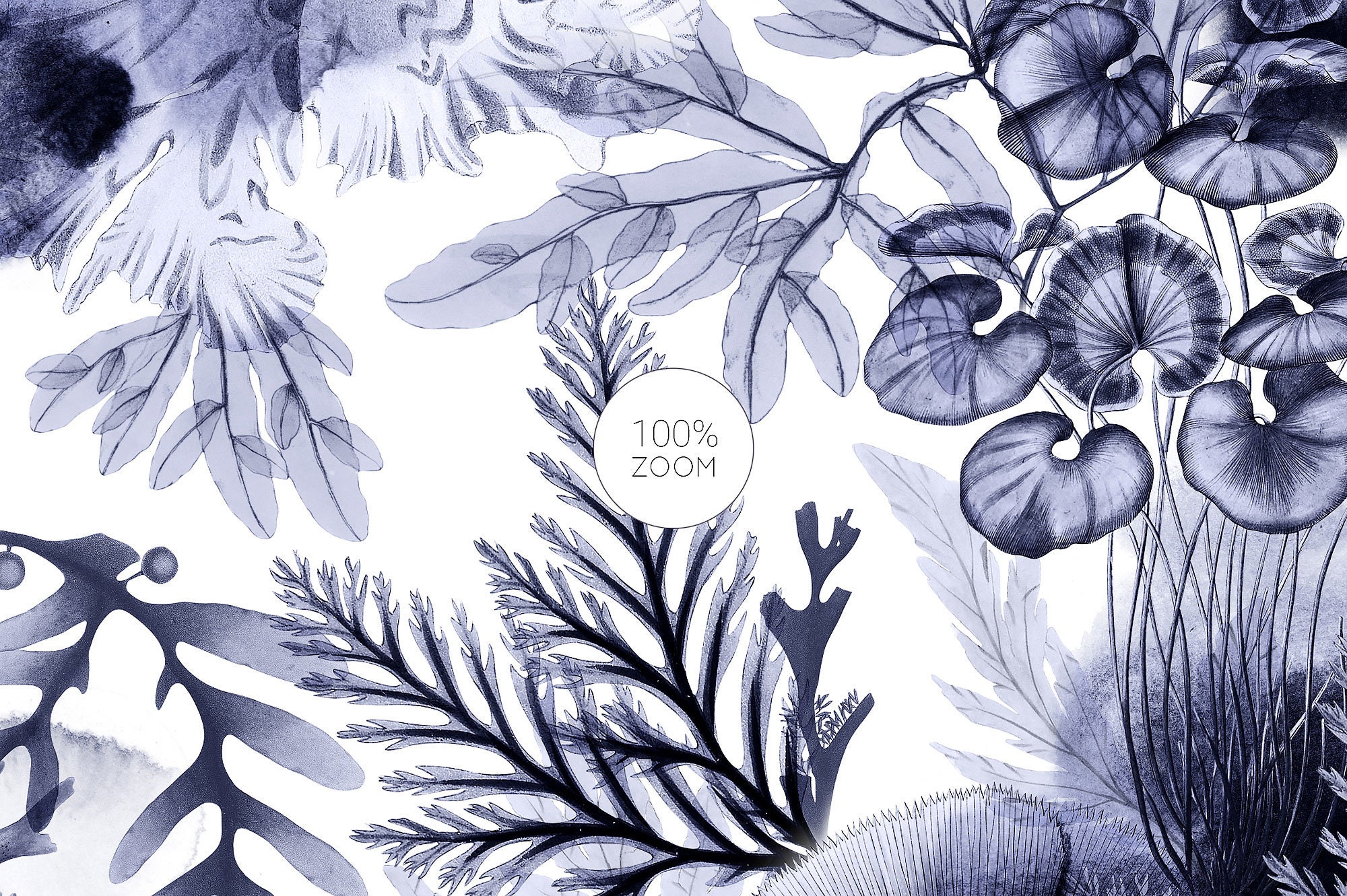 Marine, Aquatic Print Patterns - Etsy