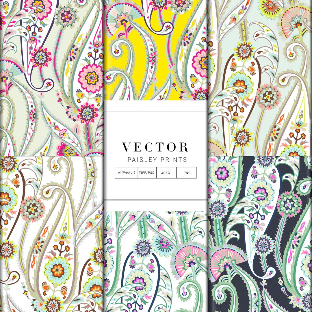 Vector Paisley Design - Etsy