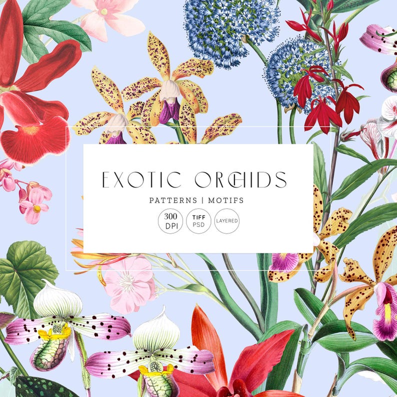 Exotic Orchids Seamless Prints & Motifs - Etsy
