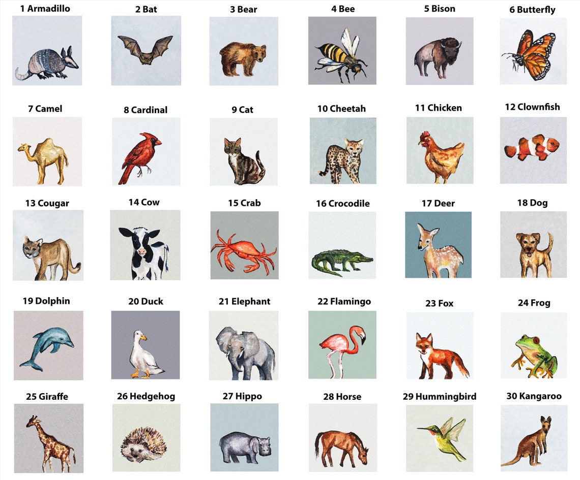 Mini 1 Bunny Rabbit Animal Print Tiny Watercolor | Etsy