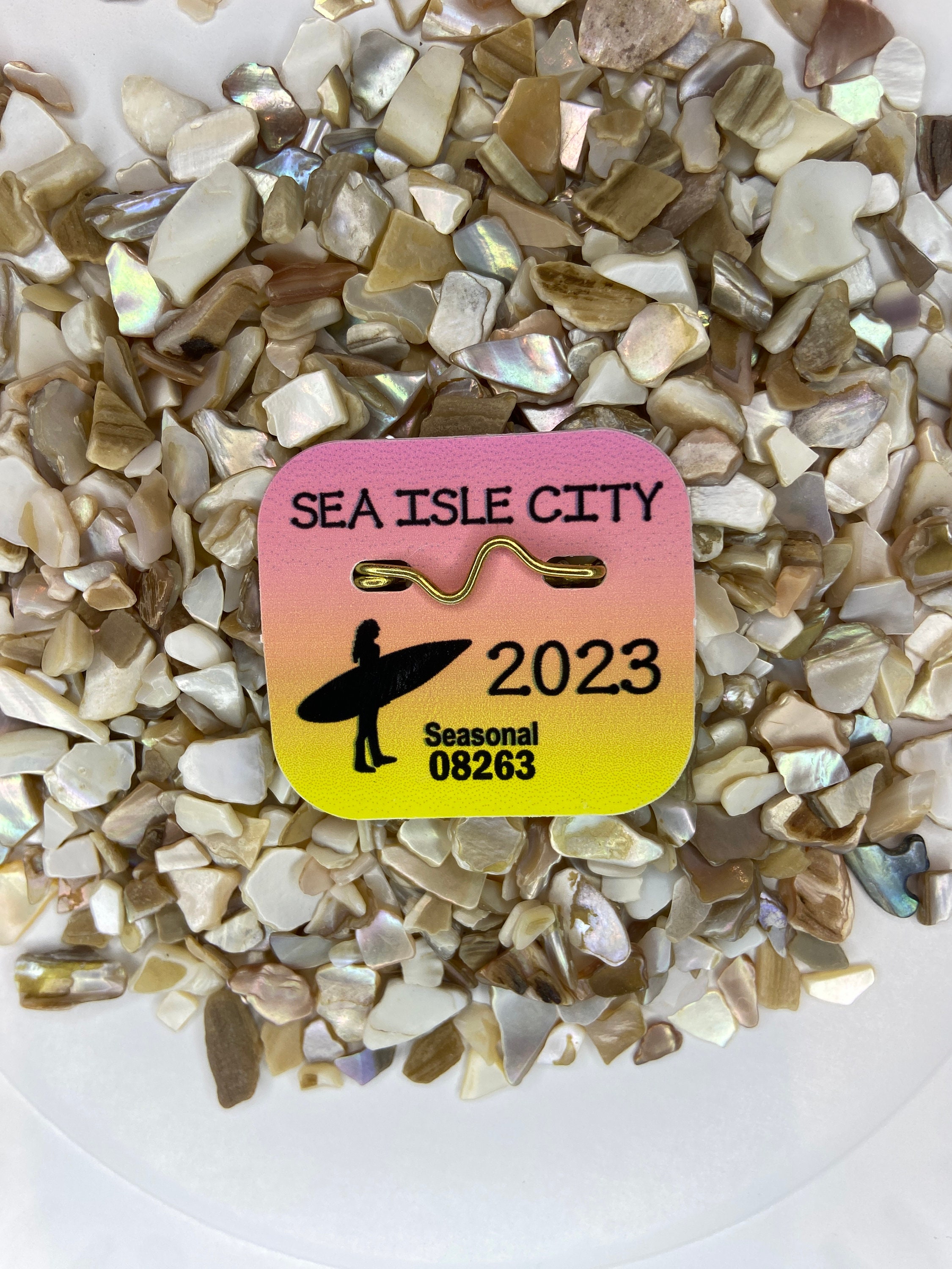 2024/2023/2022 Sea Isle City Beach Tag 16" X 16" Canvas Print. Please ...