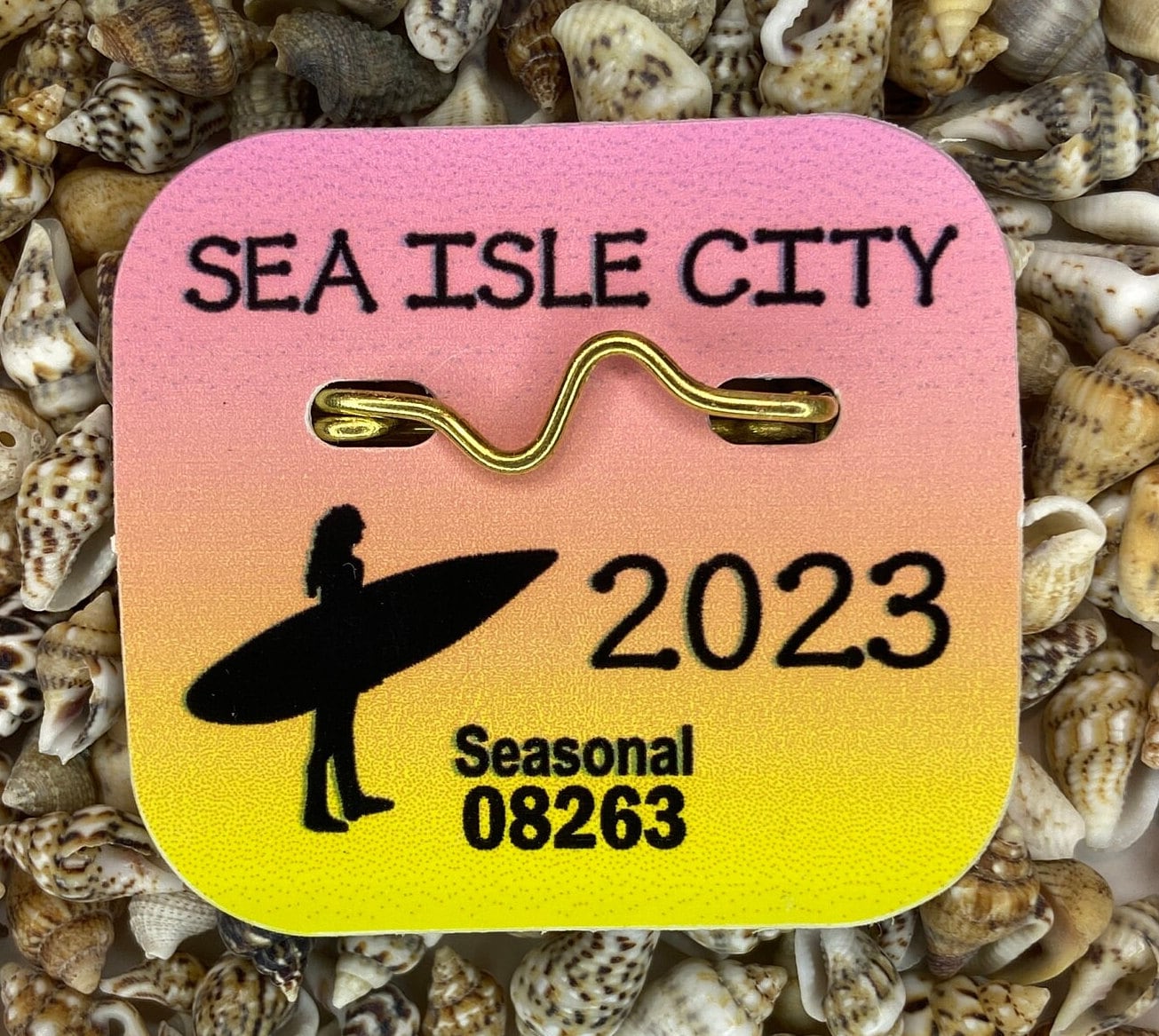2024/2023/2022 Sea Isle City Beach Tag 16" X 16" Canvas Print. Please ...