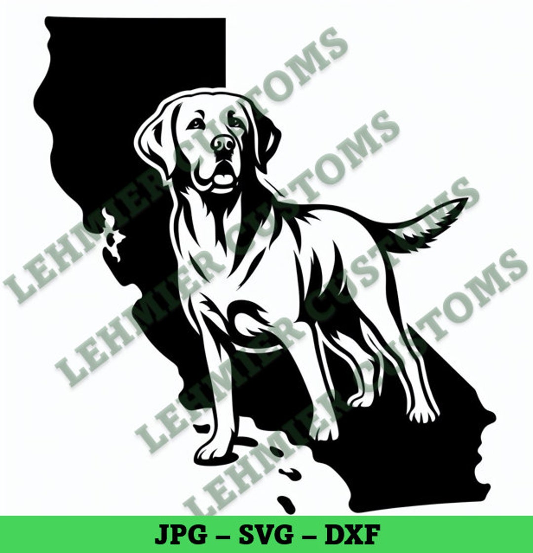 Labrador Retriever in California, California Outline, Cali Dog ...